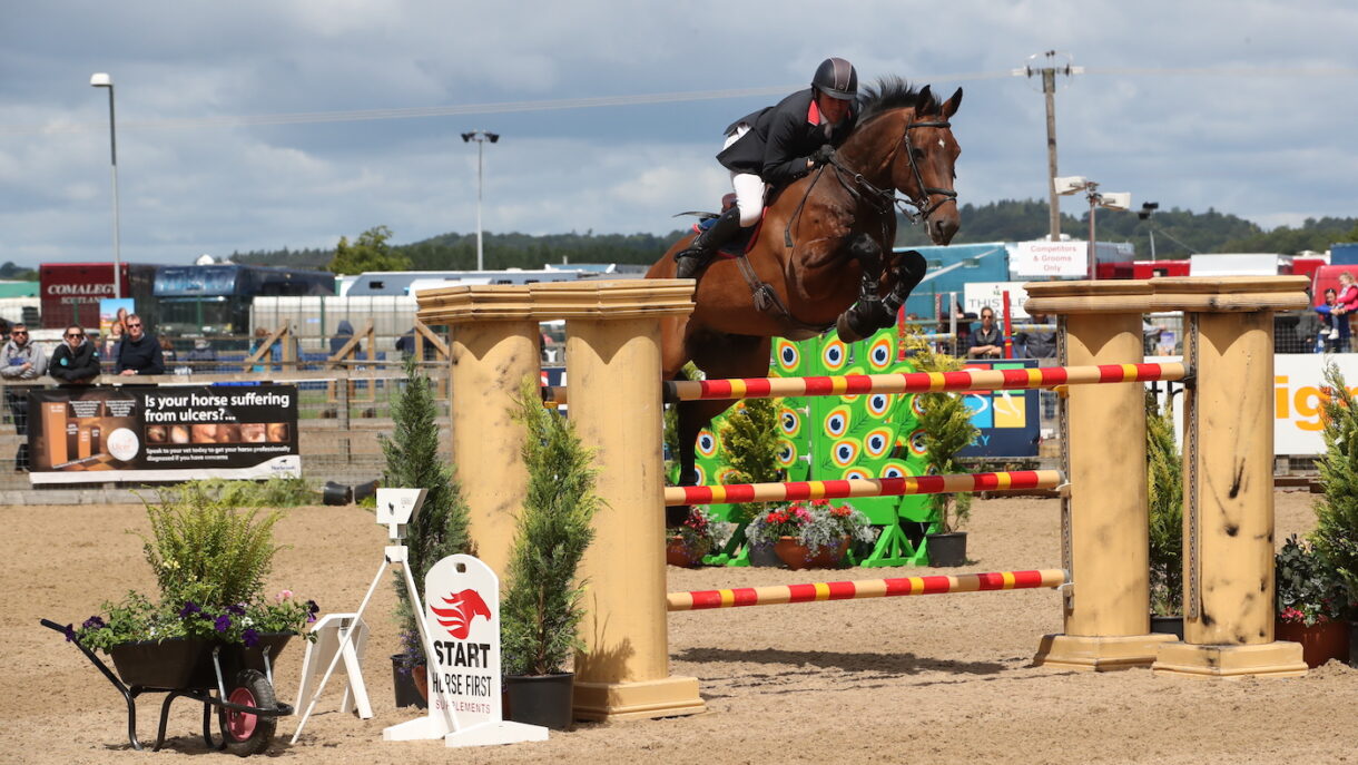 Showjumper Mark Edwards on his home-breds competing at top level