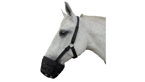 Best grazing muzzles – and everything you need to know | Horse & Hound