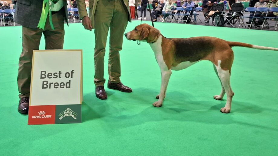 Equestrian news from Horse & Hound