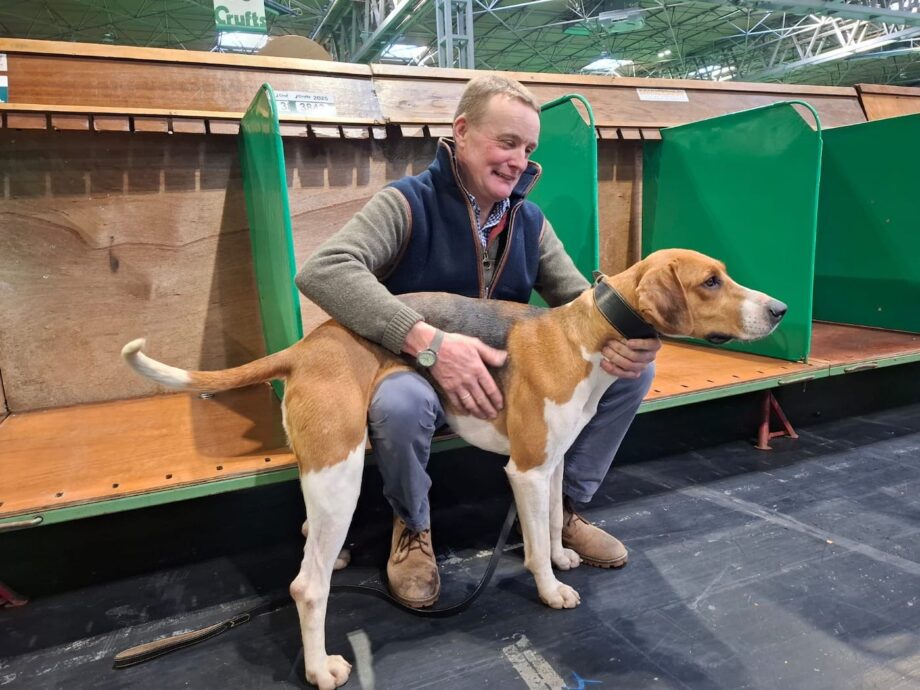 Sparkle makes history as first working foxhound to win at Crufts