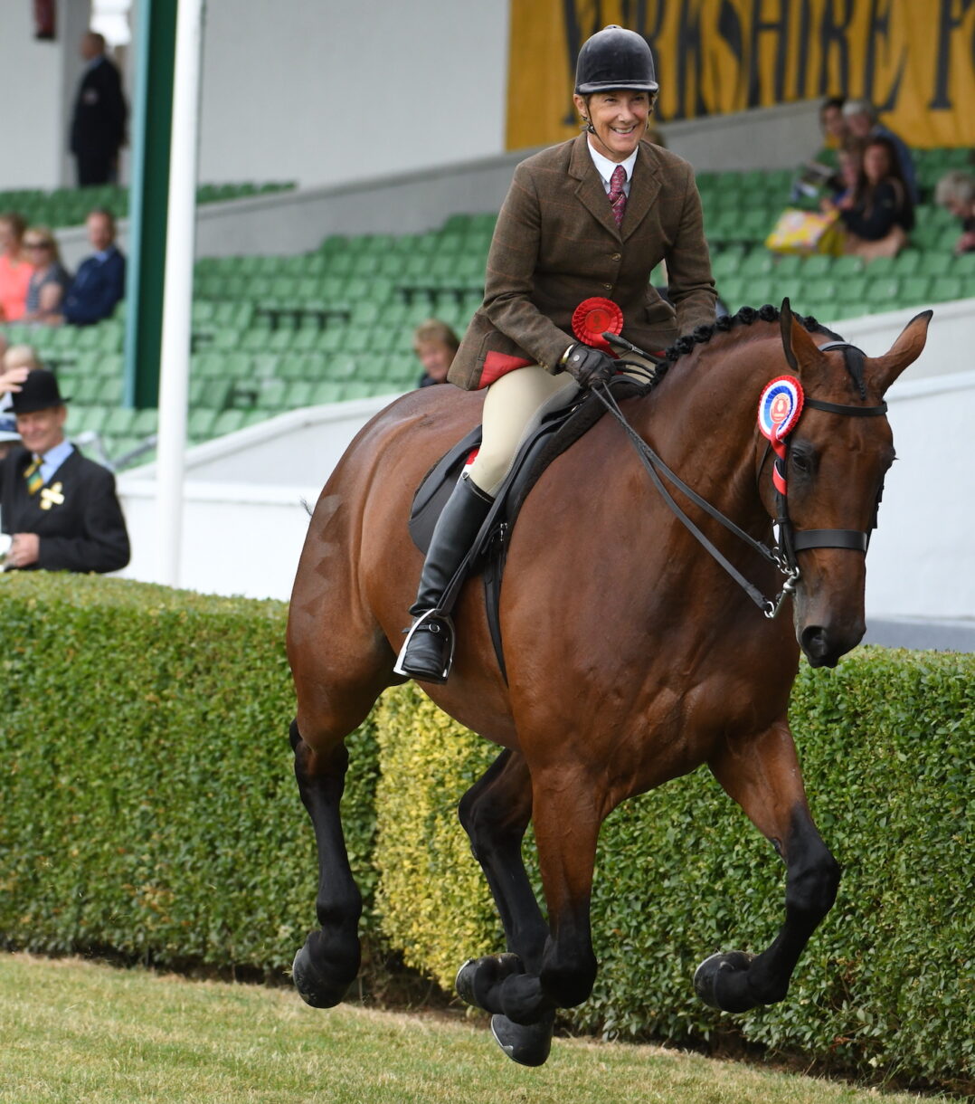 Training for show hunter classes so the judge will be thrilled with ...