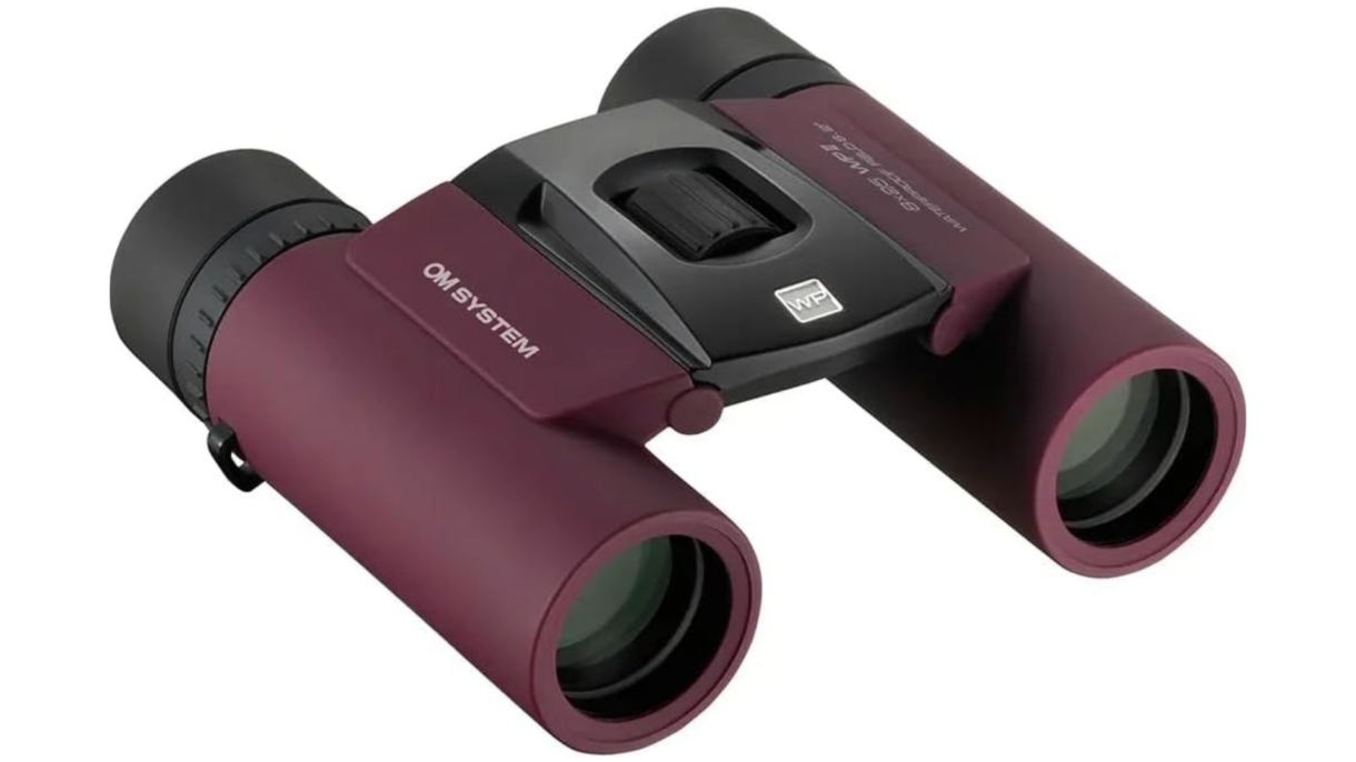 Best binoculars for horse racing – top picks for a clear view at the races