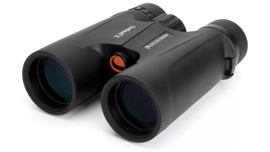 Best binoculars for horse racing – top picks for a clear view at the races