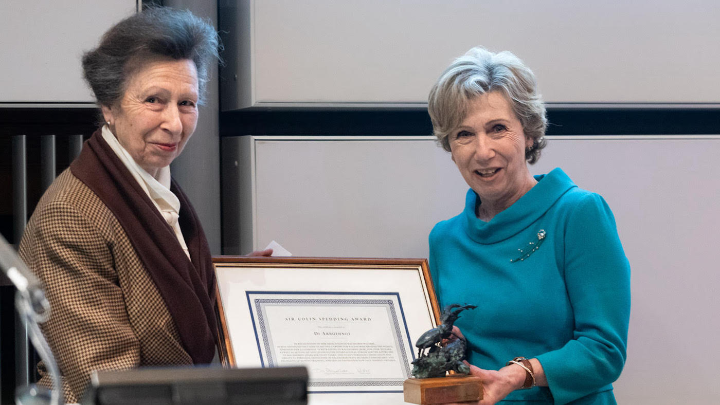 Unsung hero who helped thousands of former racehorses wins prestigious ...