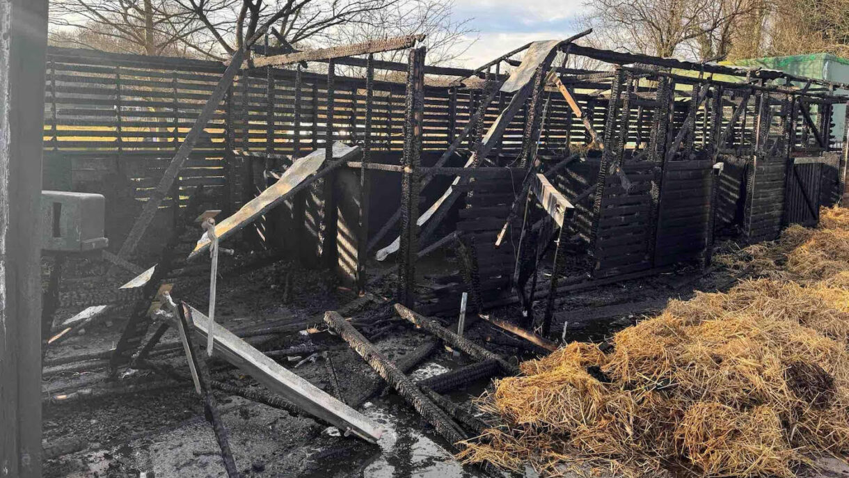 Riders lose everything as fire sweeps through stables