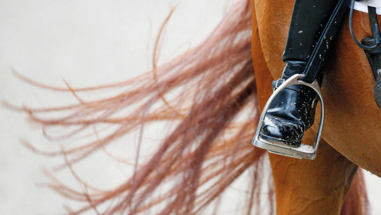 Major focus on ethical training and horses’ mental fitness to compete