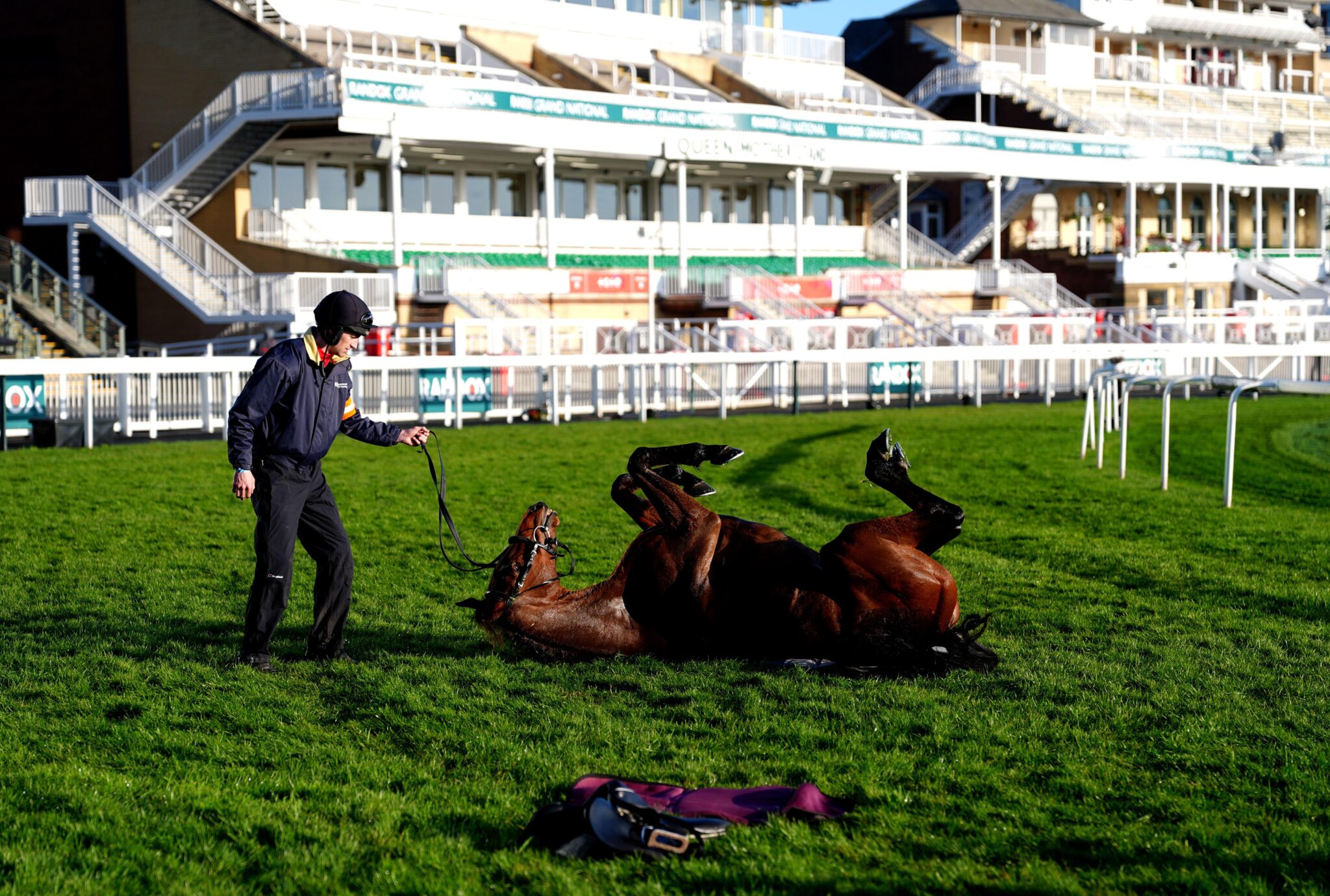 Meet 2025 Randox Grand National winner Nick Rockett
