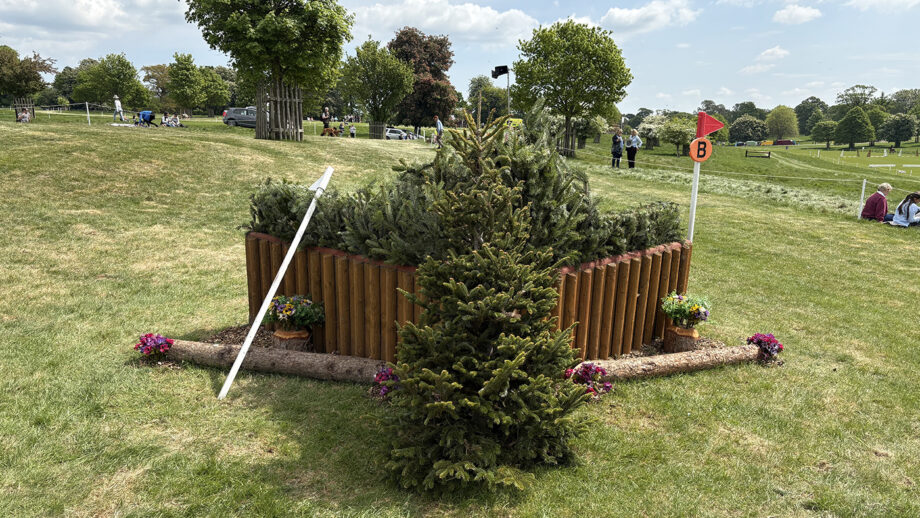 BE90 grassroots championships cross-country course 2025 photos