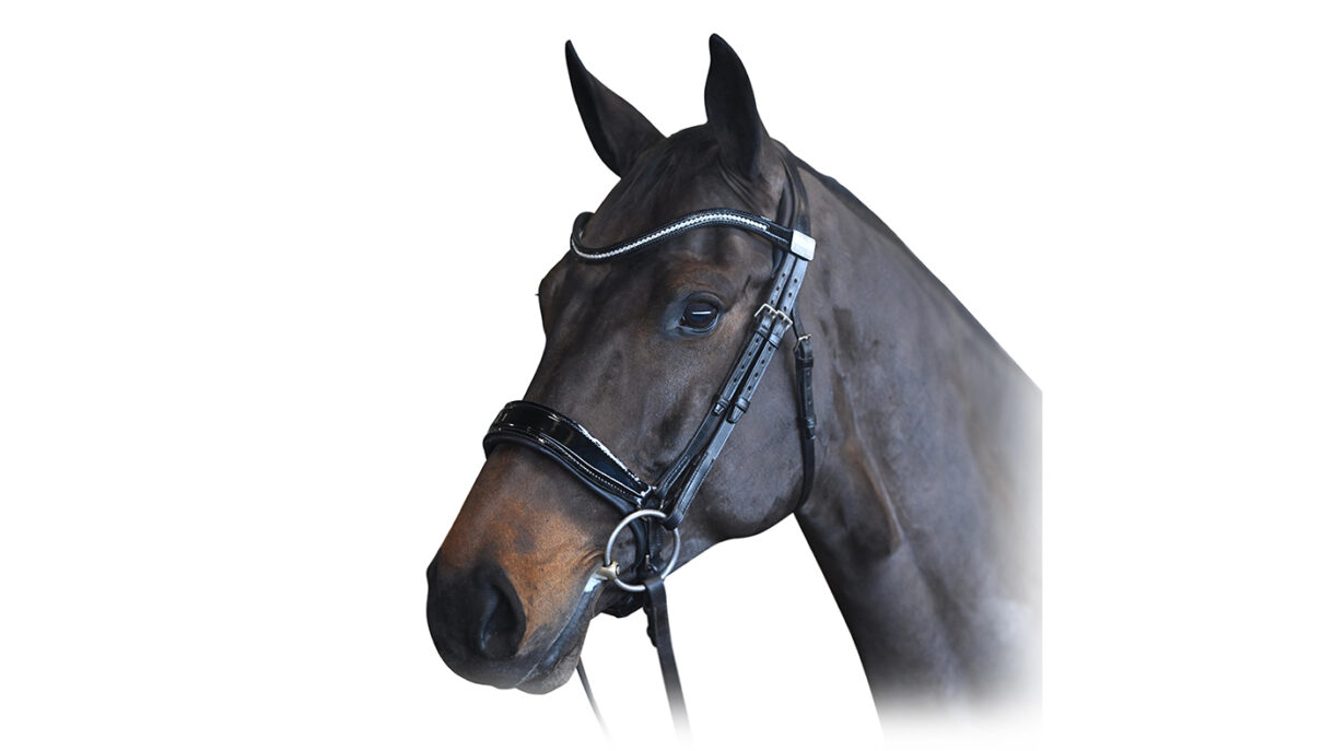 Best anatomical bridles for all budgets | Horse & Hound