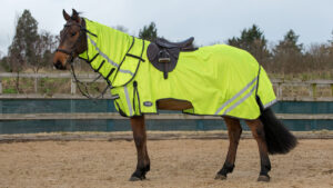 Best ride-on fly rugs for protection while hacking | Horse & Hound
