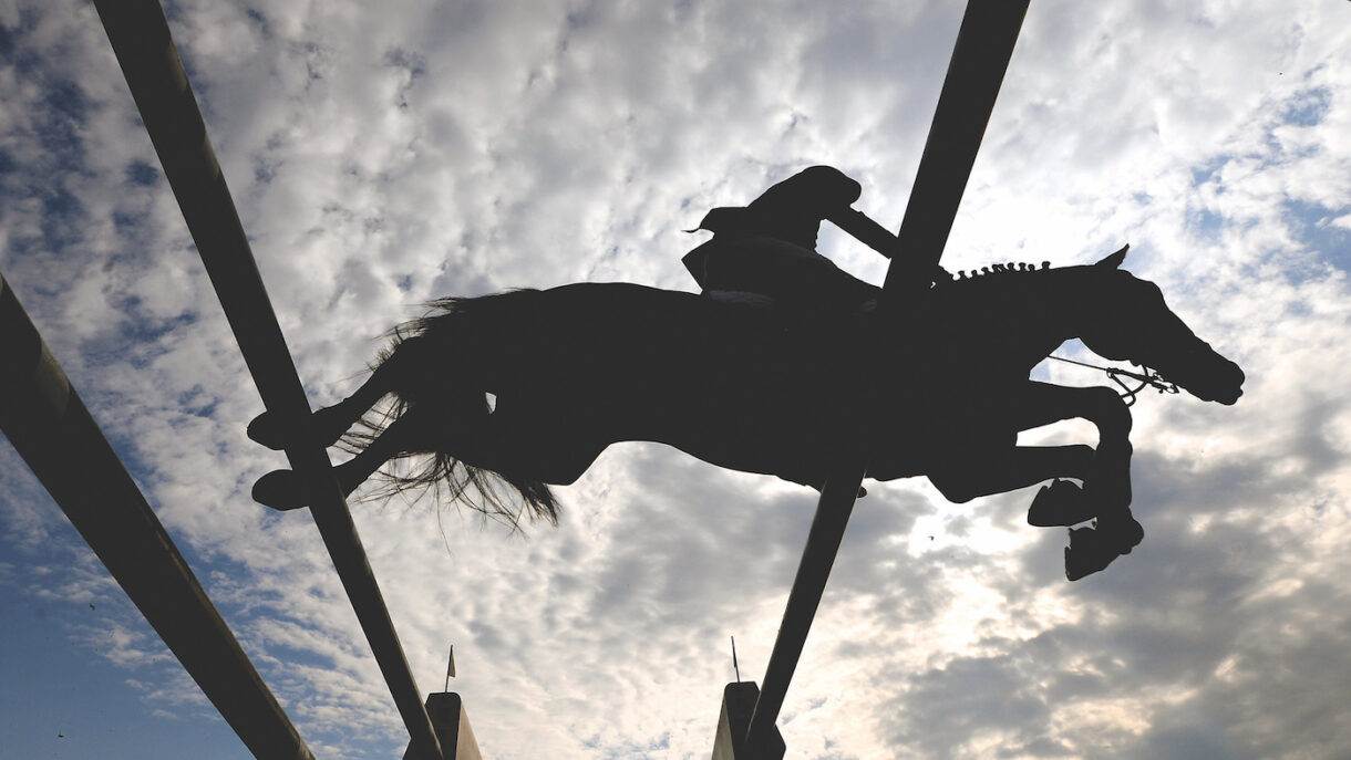 BETA NOPS: what is it and why does it matter to you and your horse ...