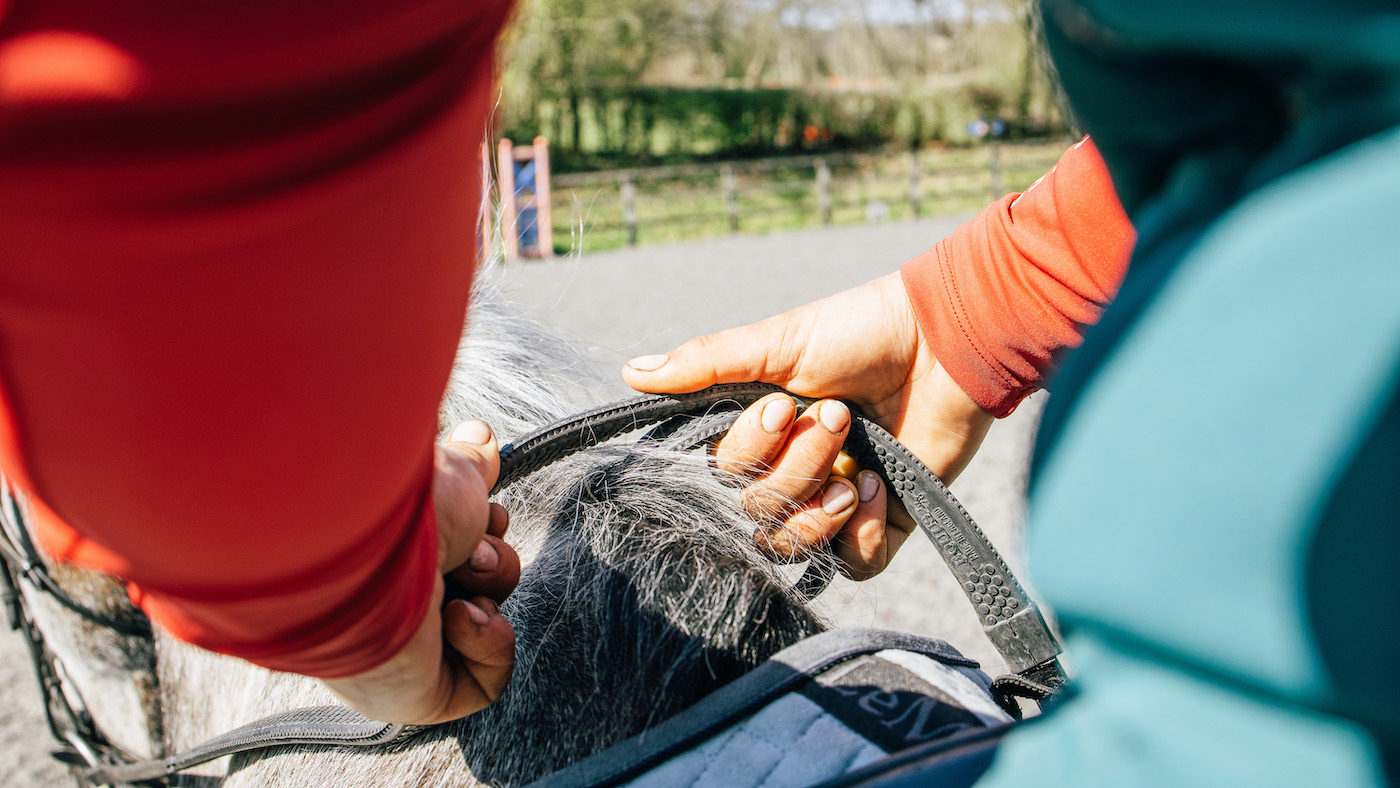 How to hold the reins in different ways to improve the contact