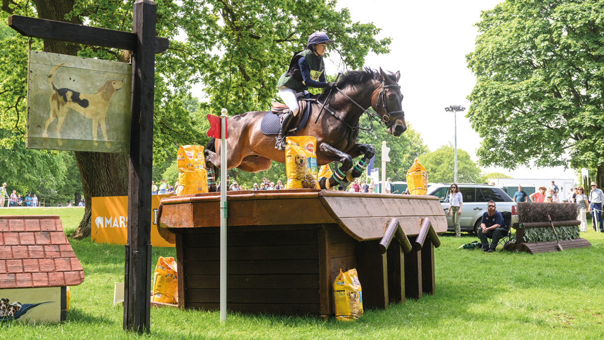 Early pictures of Badminton Horse Trials cross-country course for 2025
