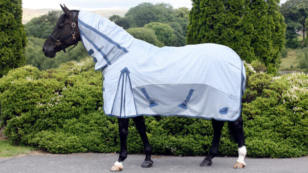 Best fly rugs for horses: find the best protection | Horse & Hound