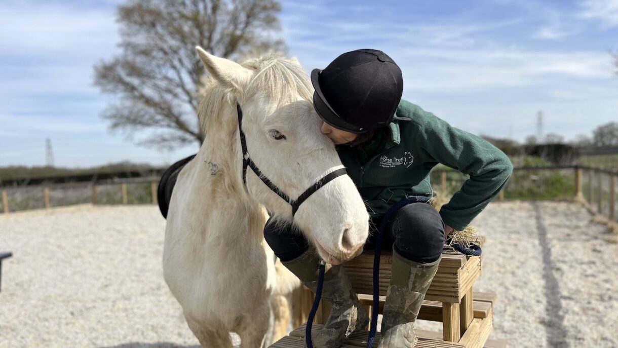 ‘Wanton neglect of hundreds of animals’: 59 horses among +450 animals ...