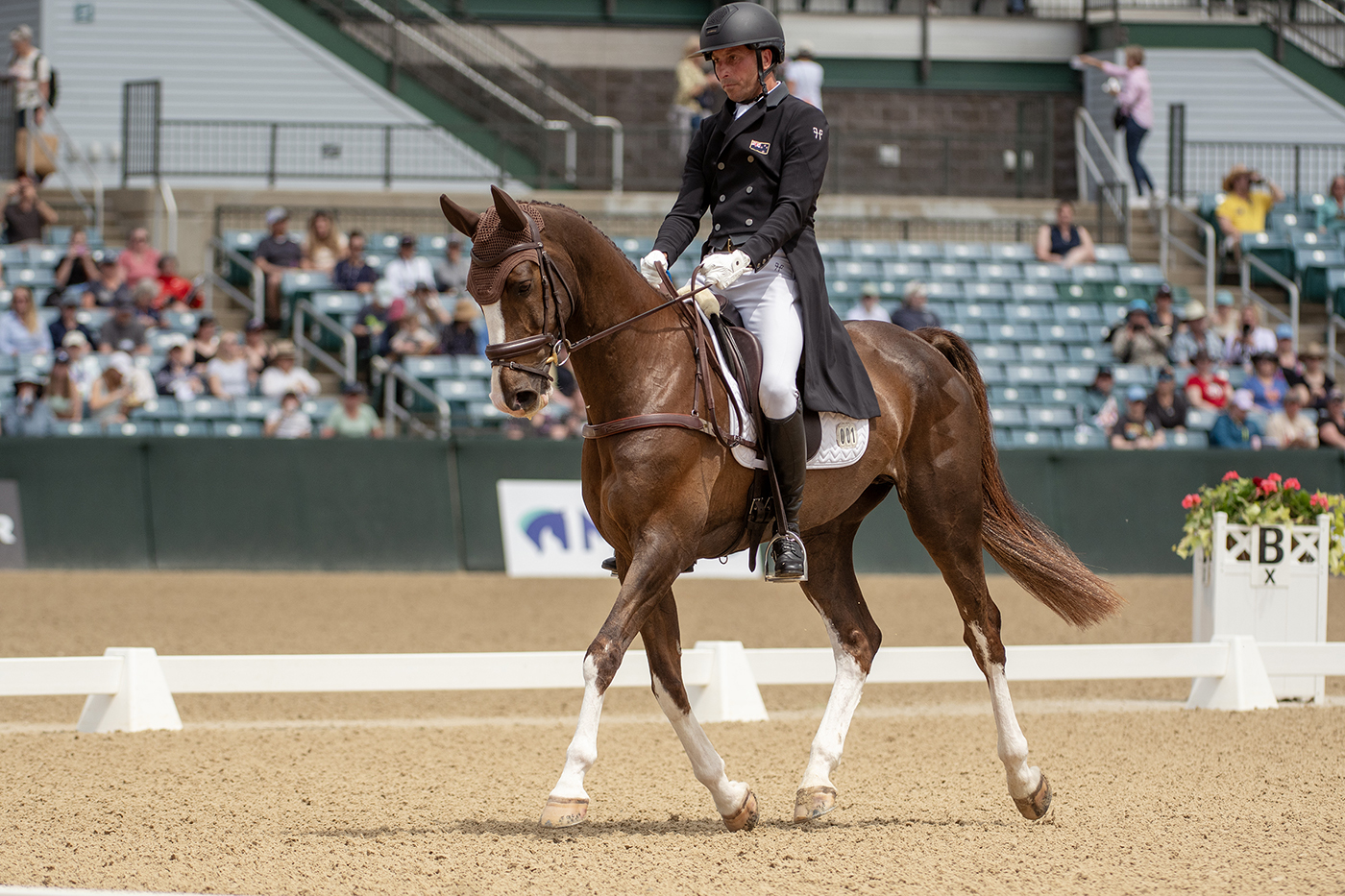 Choosing a Mascot for Tim Price's Talented Horse, Jarillo: A Unicorn ...