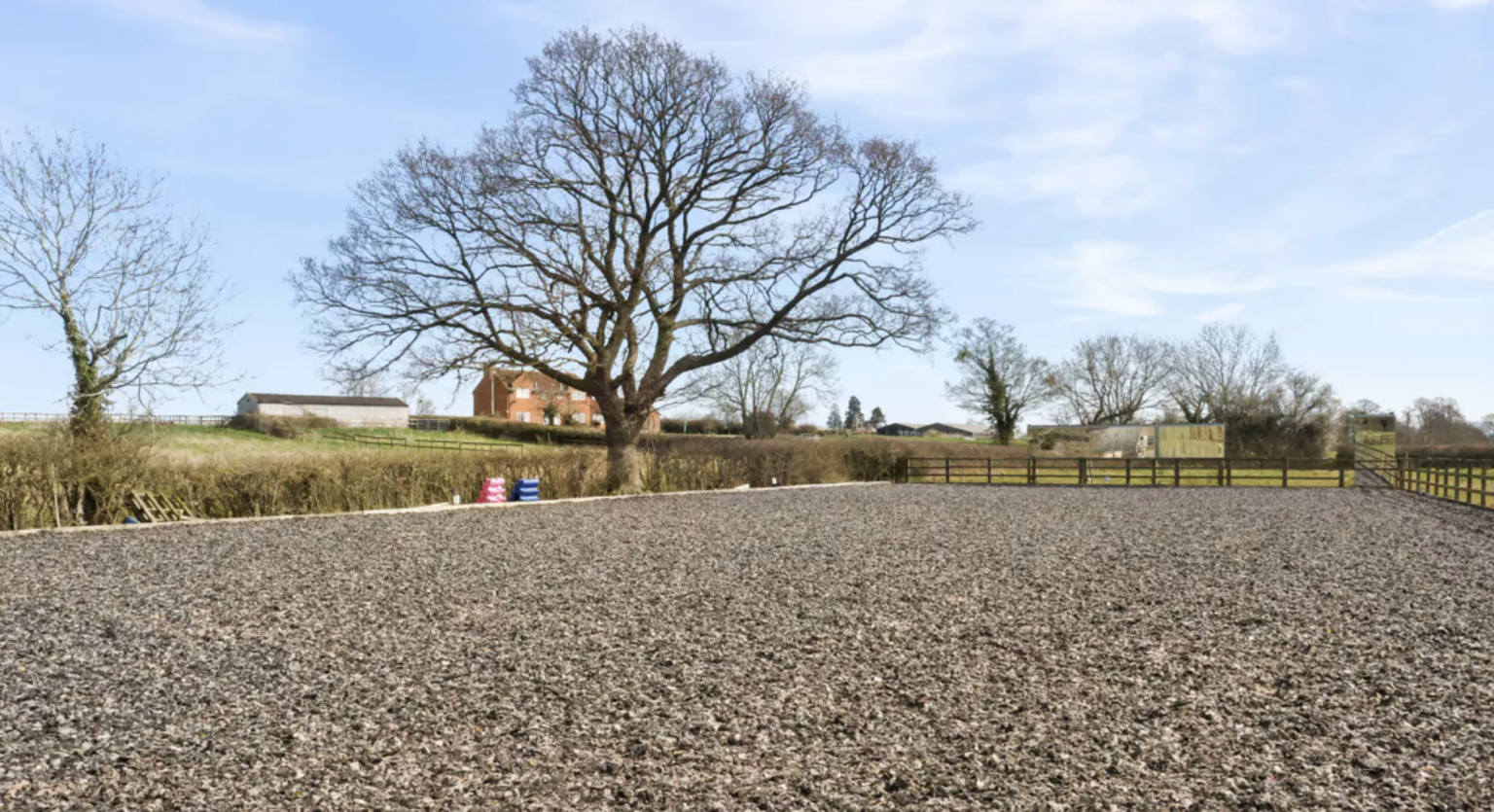 A lovely home complete with arena, stables, all-weather turnout ...