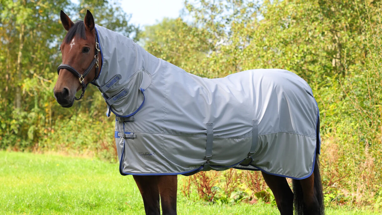Best waterproof fly rugs for horses | Horse & Hound