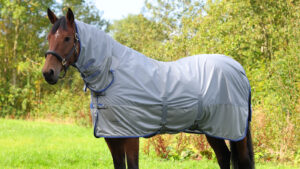 Best waterproof fly rugs for horses | Horse & Hound