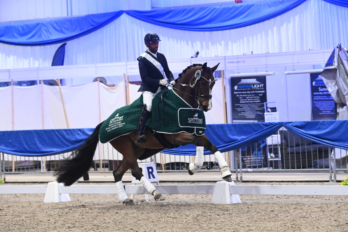 Winter dressage championships: rising stars and championship glory