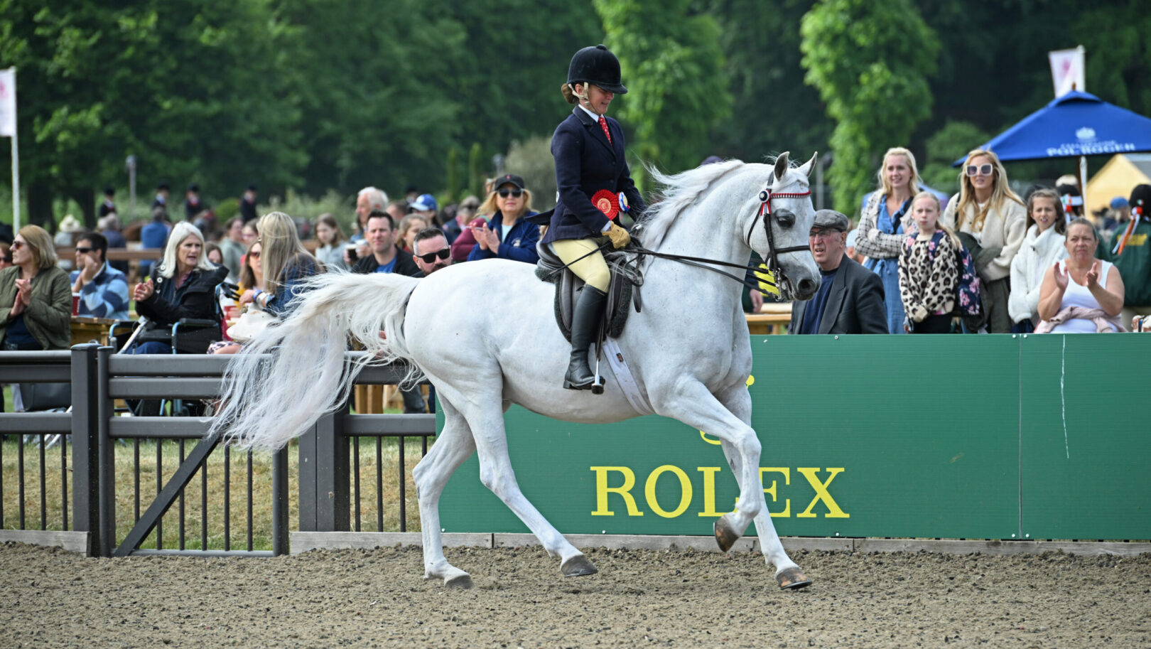 Arabian horse: the history, hallmarks and heritage of this beautiful breed