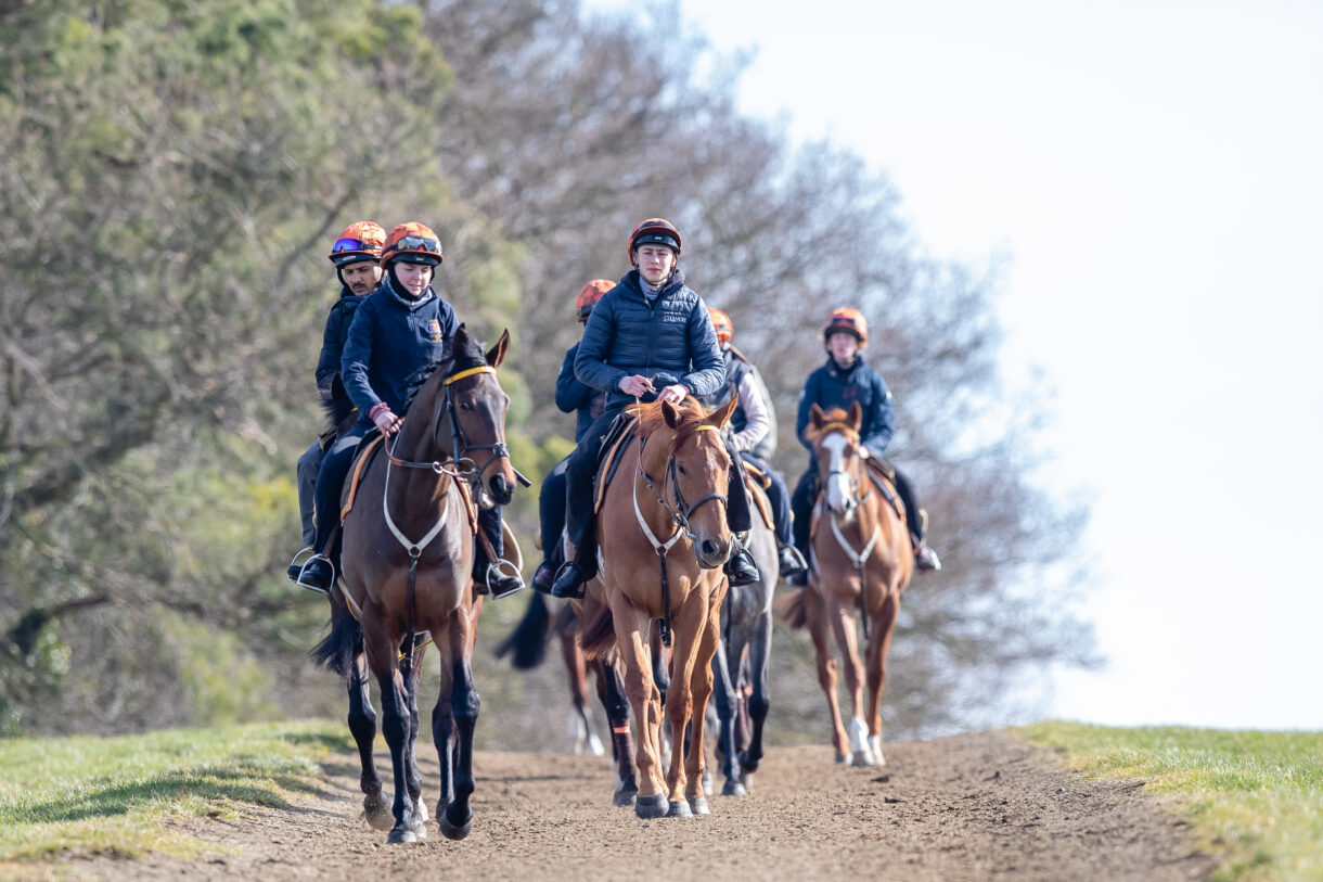 Behind the scenes with racehorse trainer Sir Mark Prescott in Newmarket
