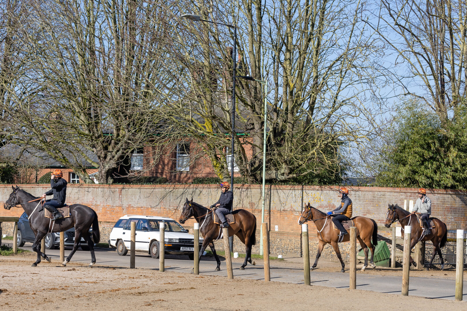 Behind the scenes with racehorse trainer Sir Mark Prescott in Newmarket
