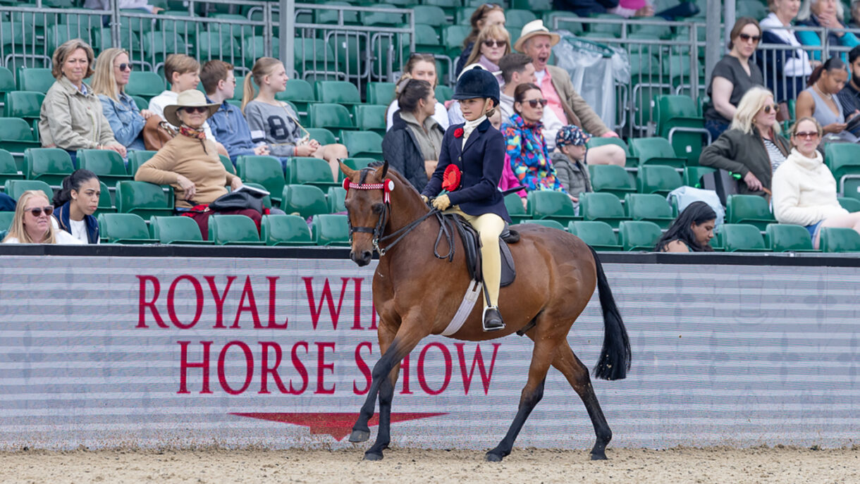 Royal Windsor Horse Show novice and open show ponies titles to one rider