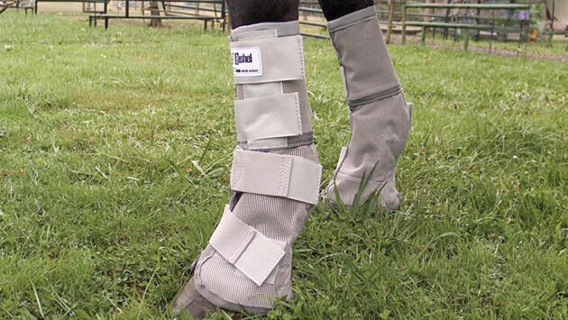Best fly boots for horses for ultimate protection | Horse & Hound
