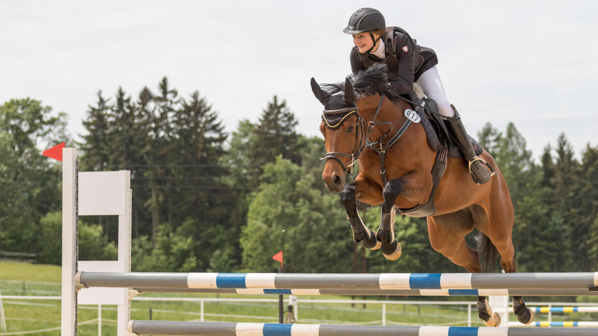 Building confidence jumping horses and how to recover our nerve