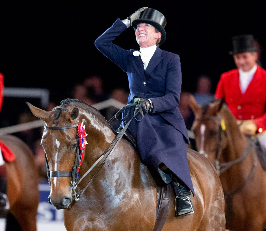 Ladies show horse classes require specific training and type of horse