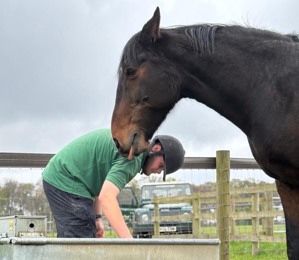 Much-loved ‘towering’ police horse retires to final home aged 20