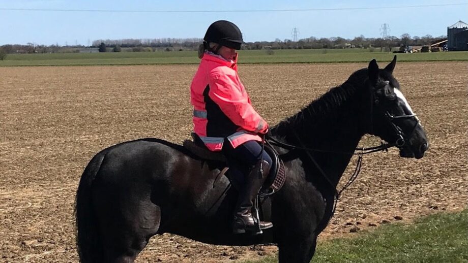 'Too large for letter box': escaped pony delivered by postman - Horse ...