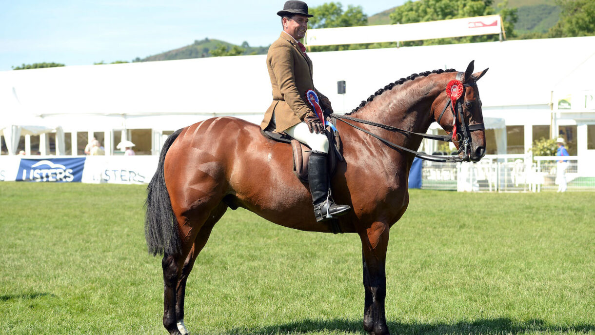 H&H's guide to show hunter ponies - Horse & Hound