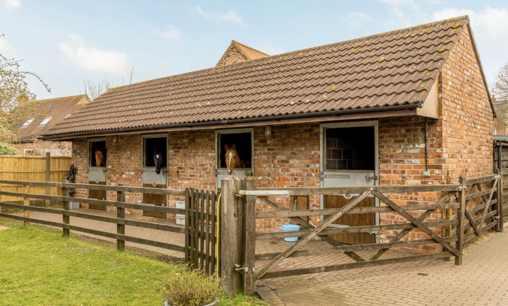 A family home with 6 stables, a big arena and paddocks for sale