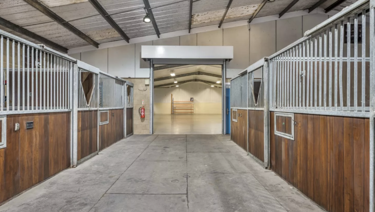 A outstanding horsey home with everything you could possibly need