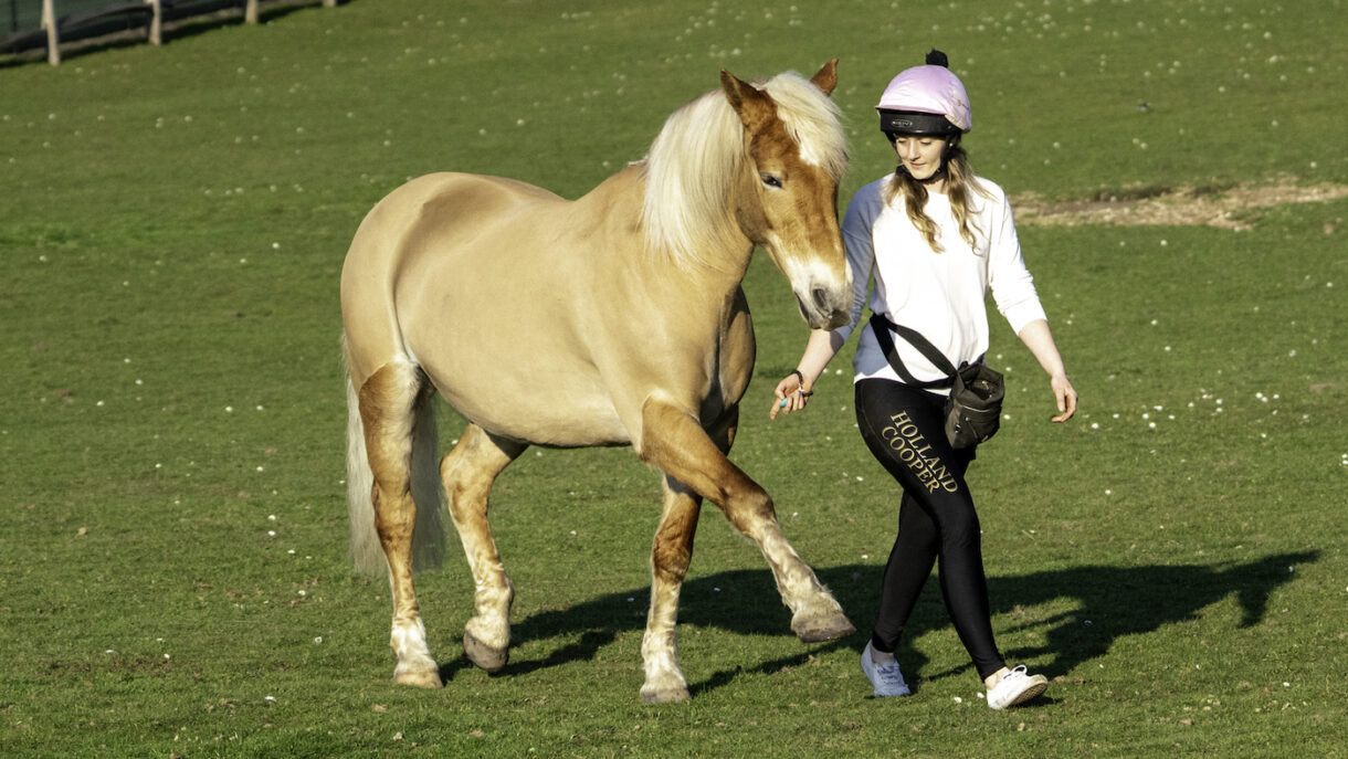 Simple groundwork exercises for sharp horses - Horse & Hound