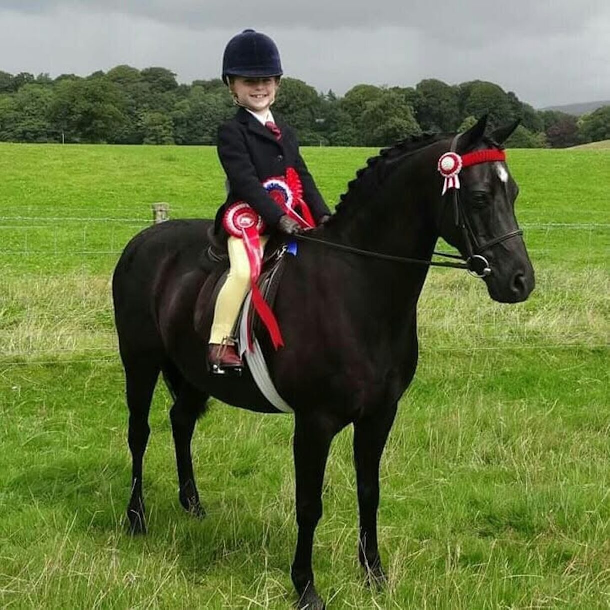 ‘A lifetime of memories’: farewell to tiny superstar pony who won it ...