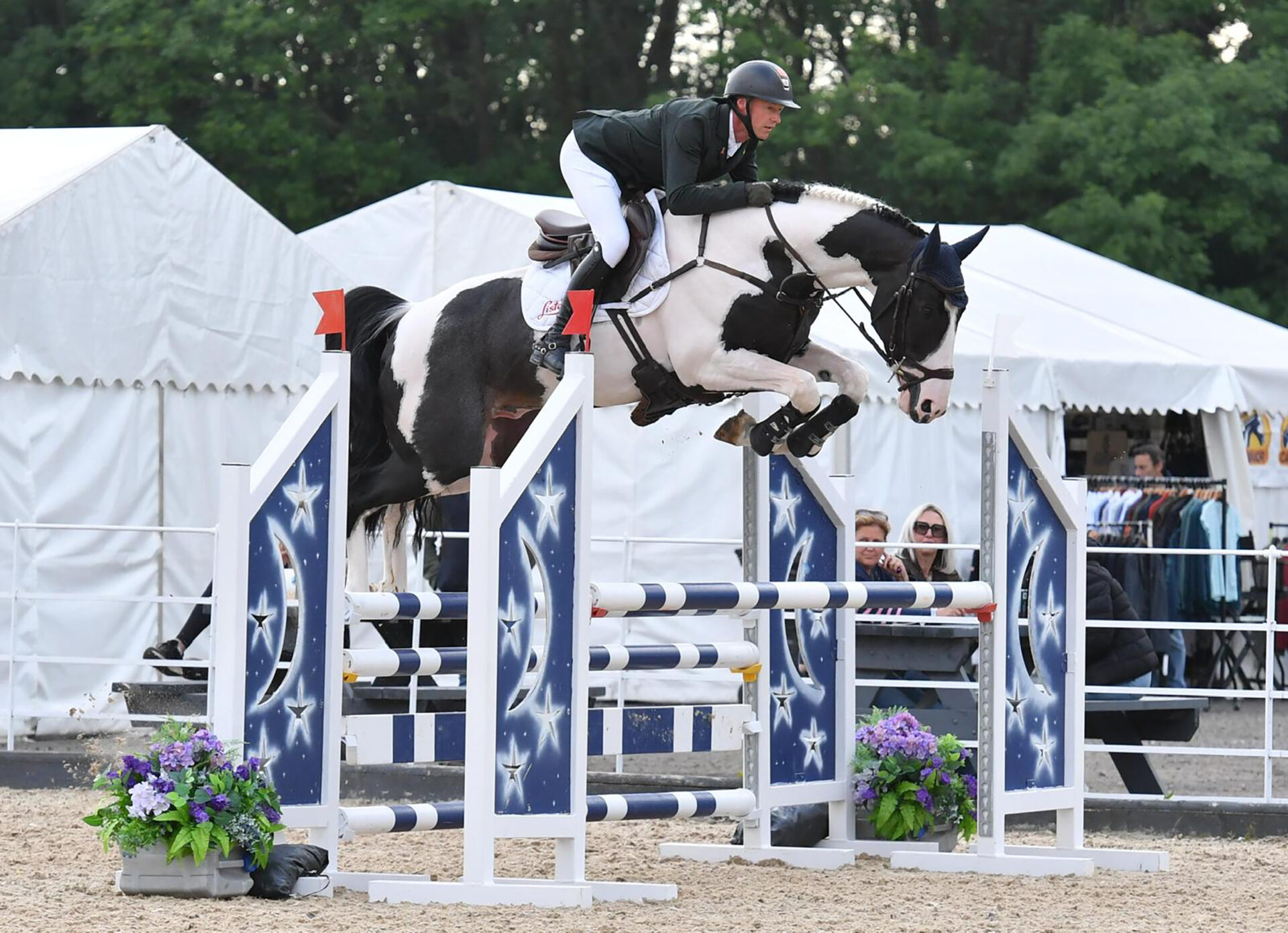 Meet Anthony Condon's exciting stallion High Offley The Colour Of Money