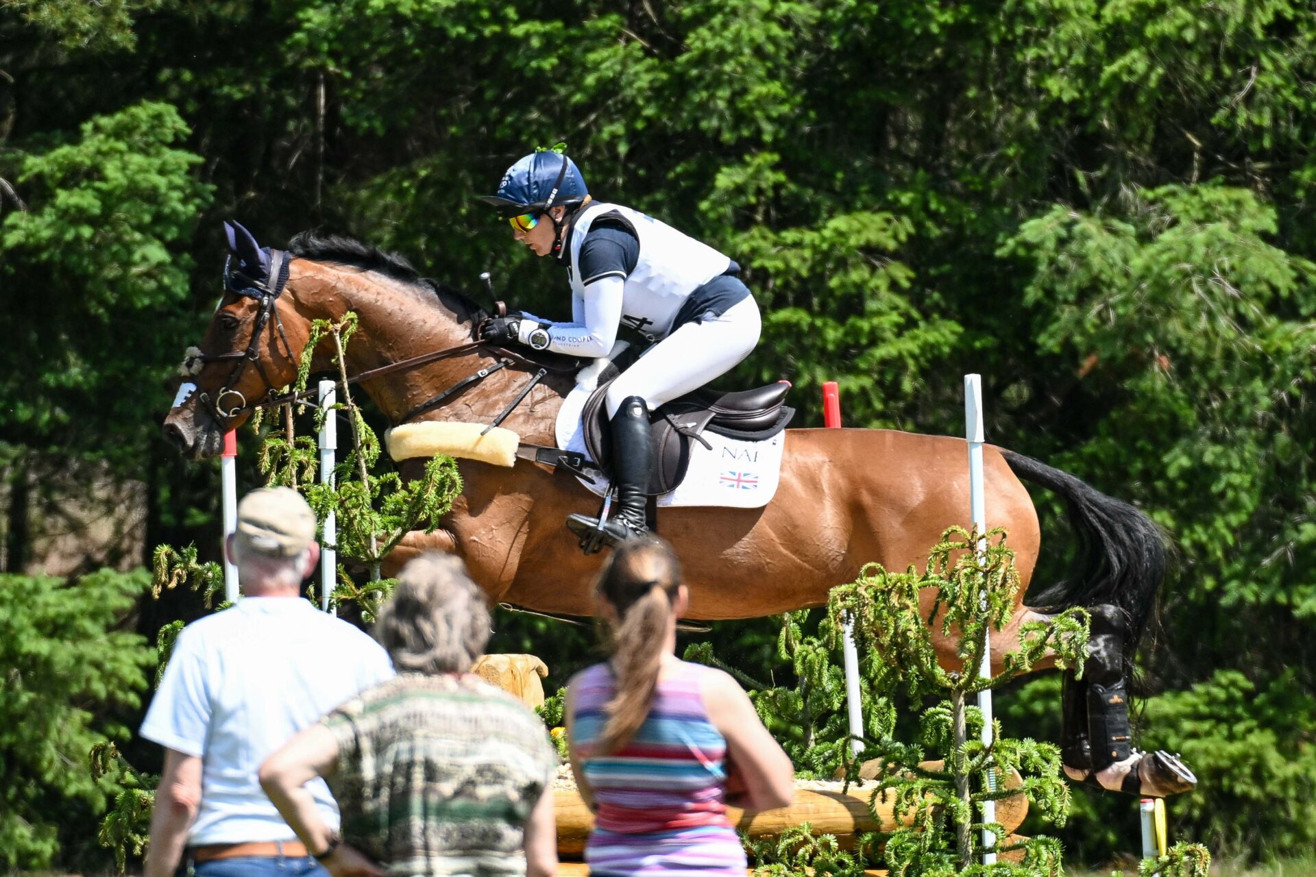 Luhmühlen Horse Trials cross-country proves influential in 2025