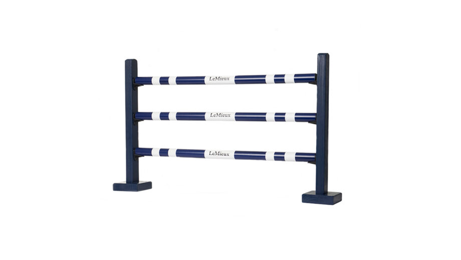 Best hobby horses for fun and competition | Horse & Hound