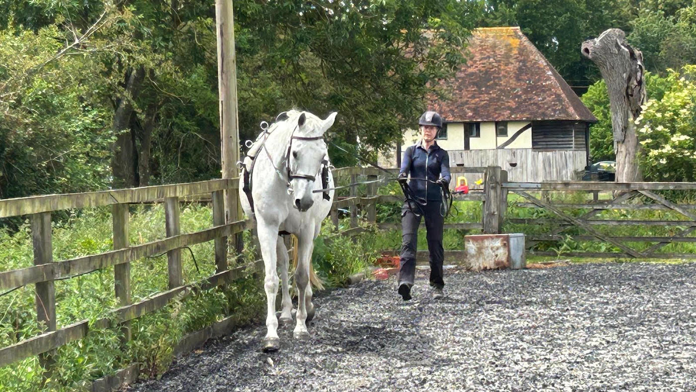 Long-reining horses is a useful training tool at all levels - Horse & Hound