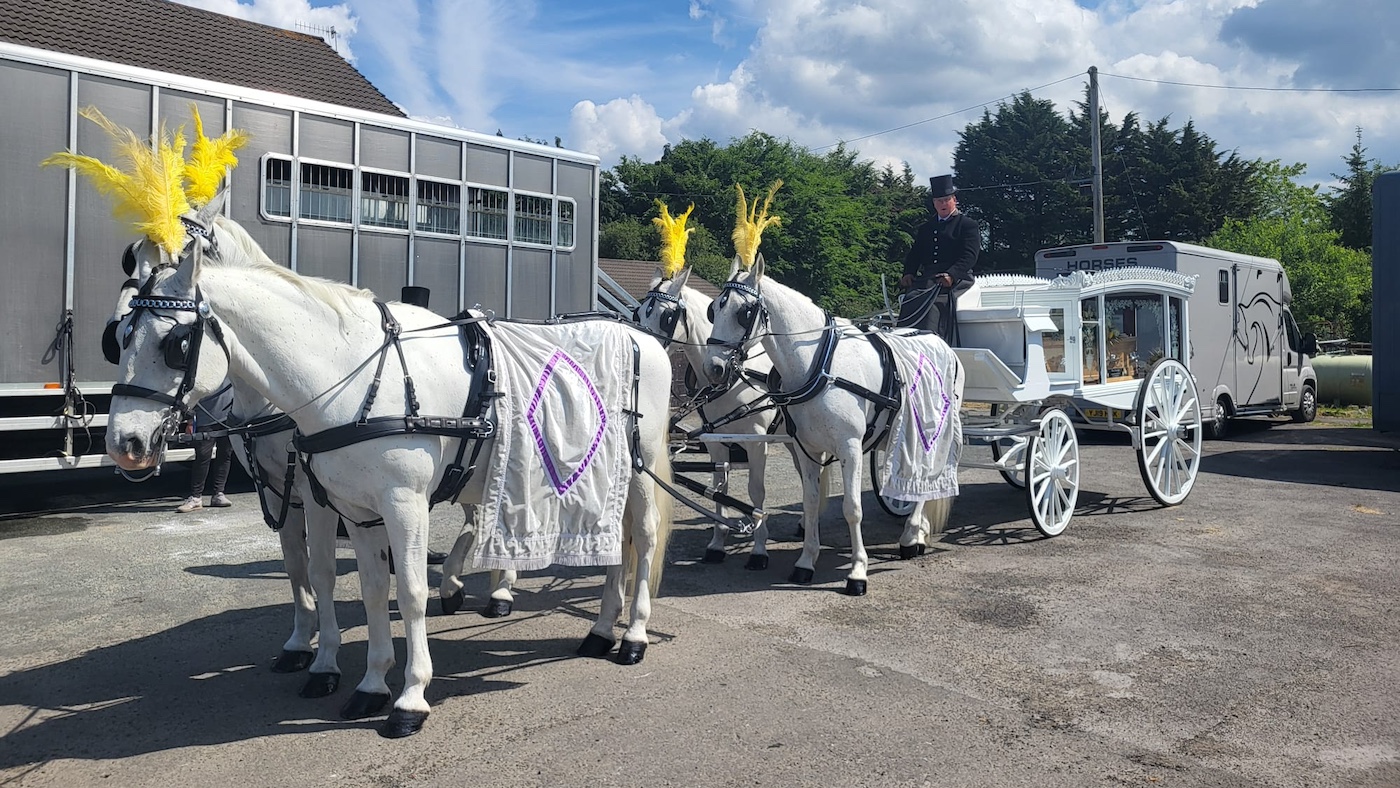 A legacy of dedication, passion, and enduring love of horses: farewell ...