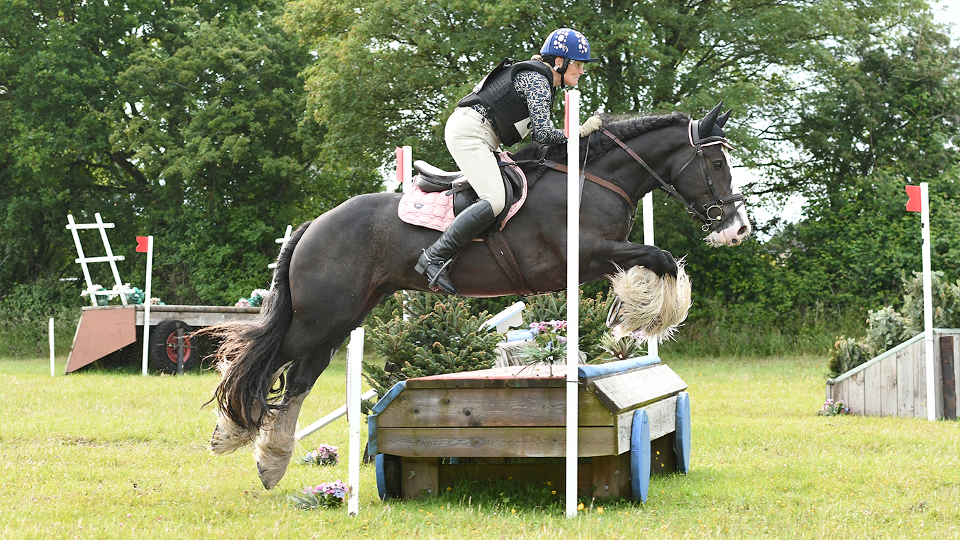A gypsy cob goes eventing and wins, flying feather and all