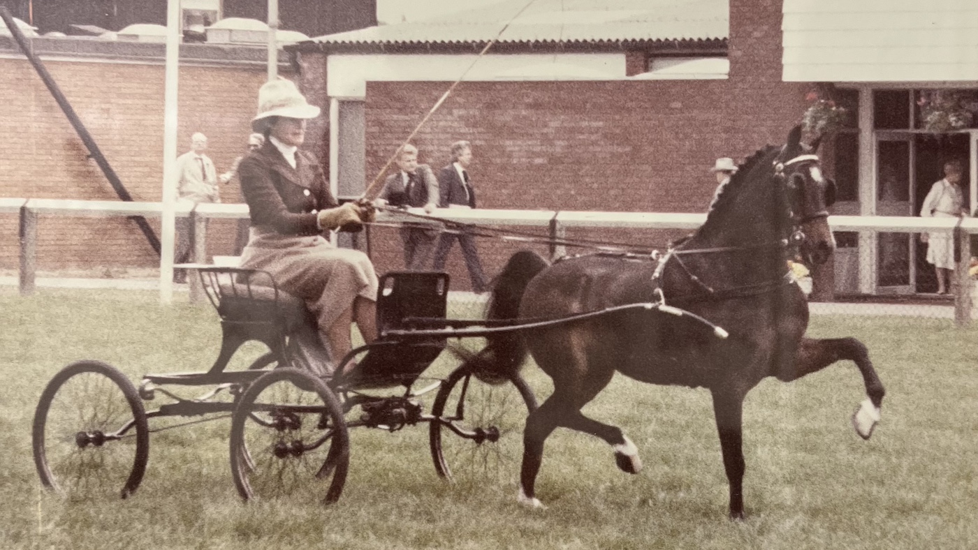 Farewell to horsewoman who left incredible legacy and touched many lives