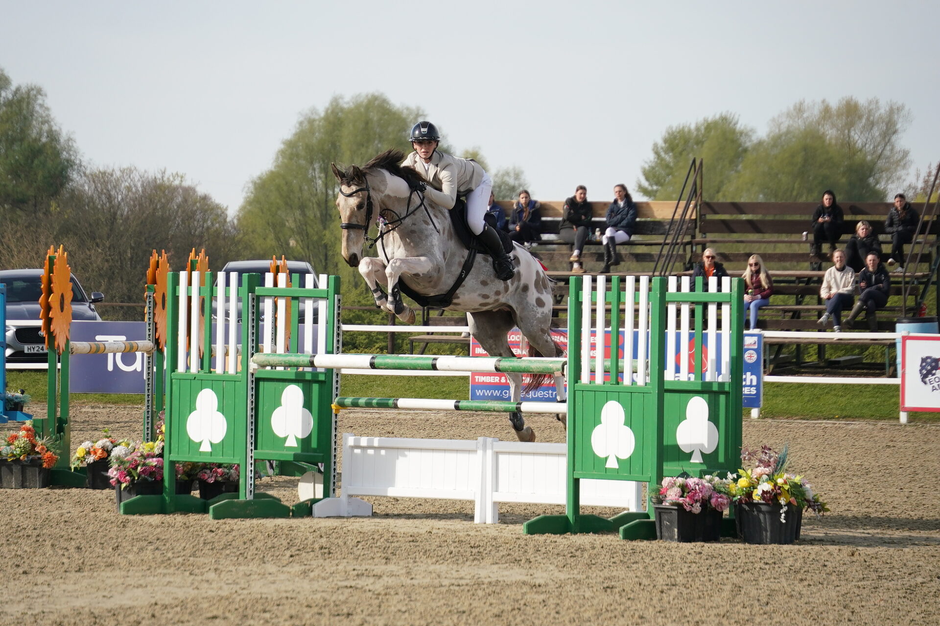 Meet spotty showjumper TGF Africa and his rider Charlie Dawson