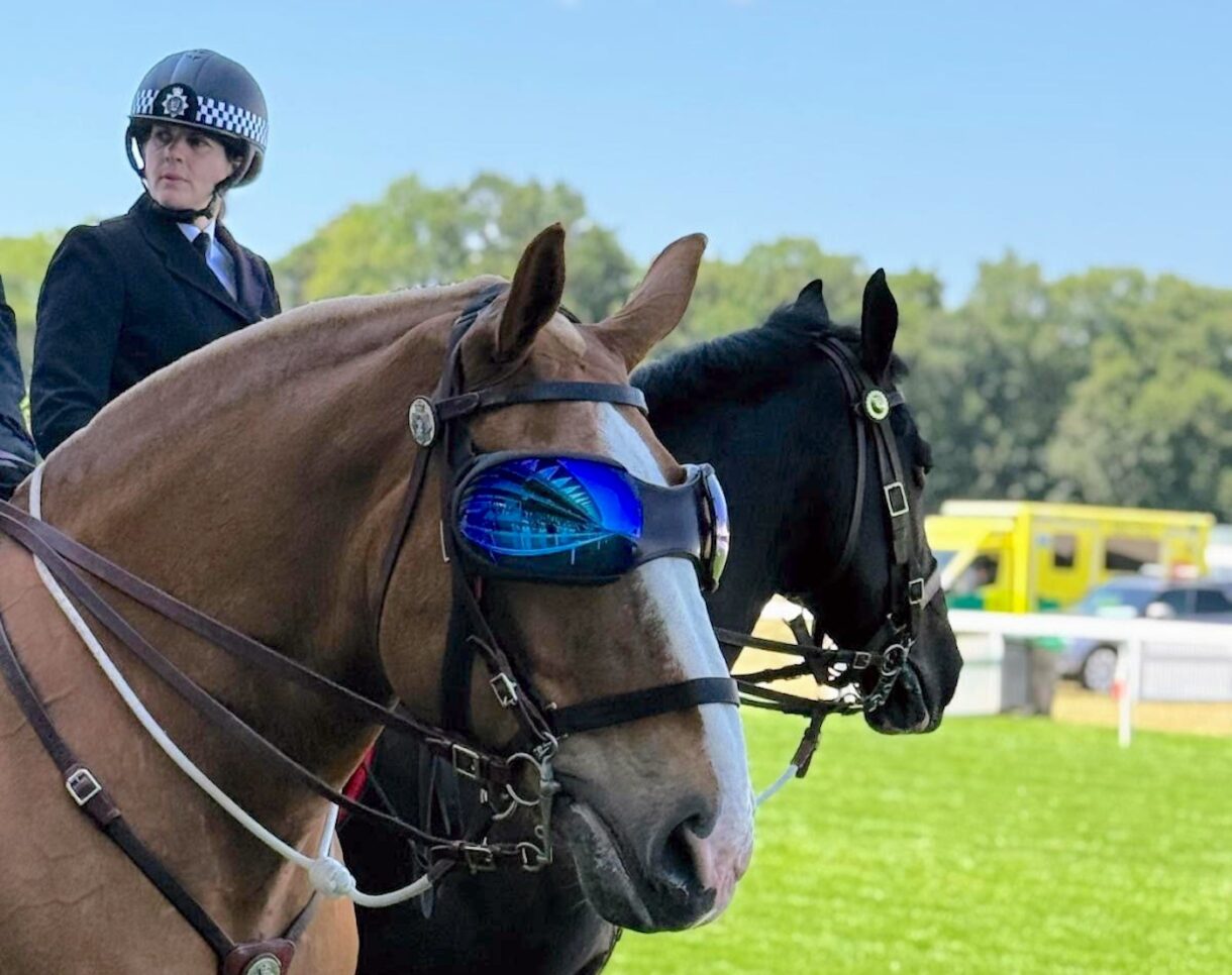 Police Horse Luna clocks off after her final shift after extraordinary ...