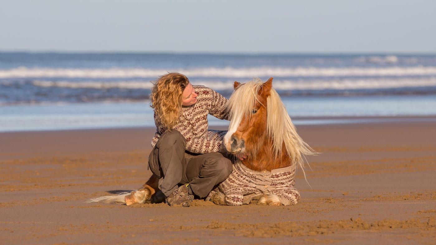 introduction to liberty training with Emma Massingale - Horse & Hound