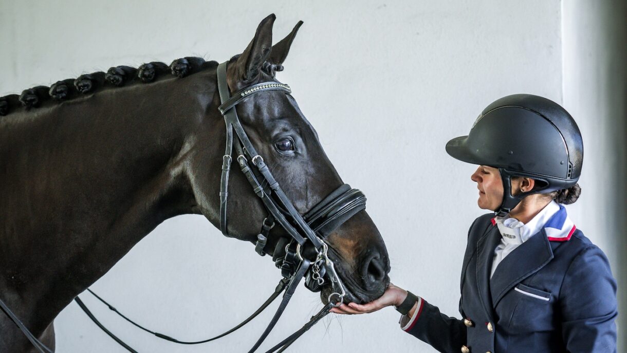 Understanding correct noseband fit for your horse’s comfort