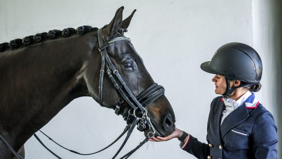 Understanding correct noseband fit for your horse’s comfort